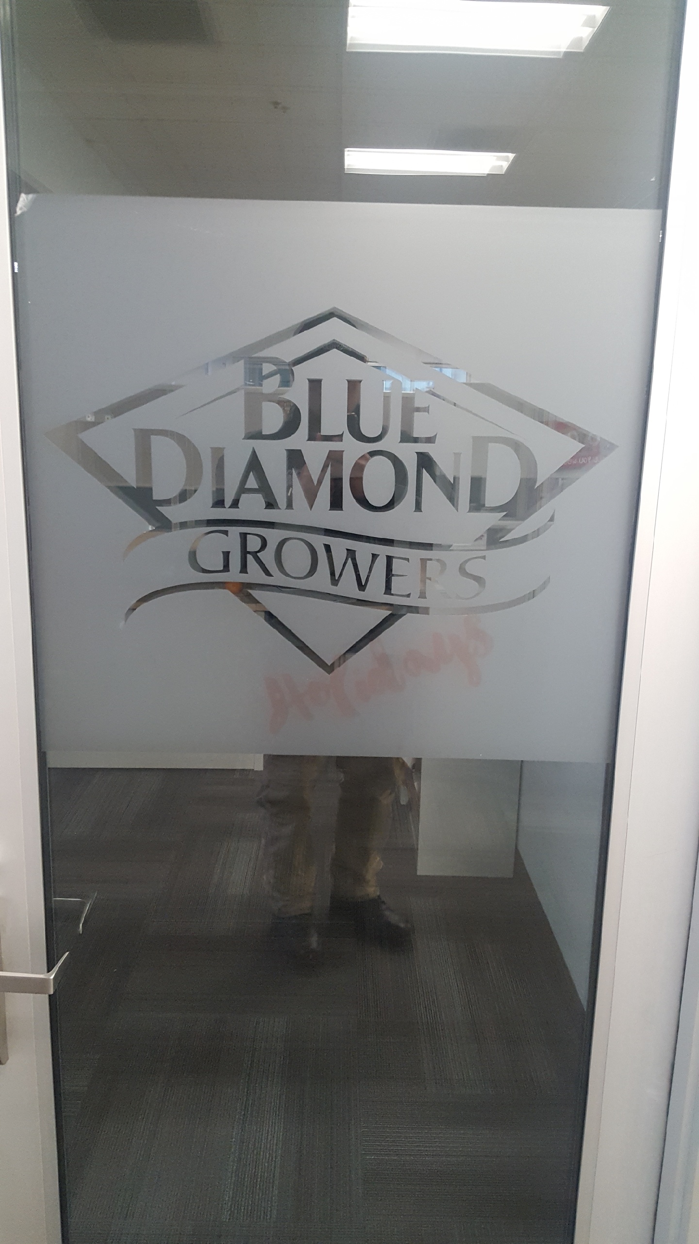 Frosted Window Graphics in Carlsbad CA Are Great Distraction Markers!